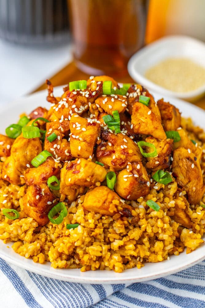 Japanese BBQ Chicken Fried Rice - Super Tasty