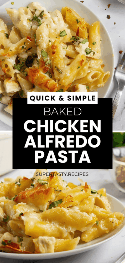 Chicken Alfredo Baked Pasta - Super Tasty Recipes